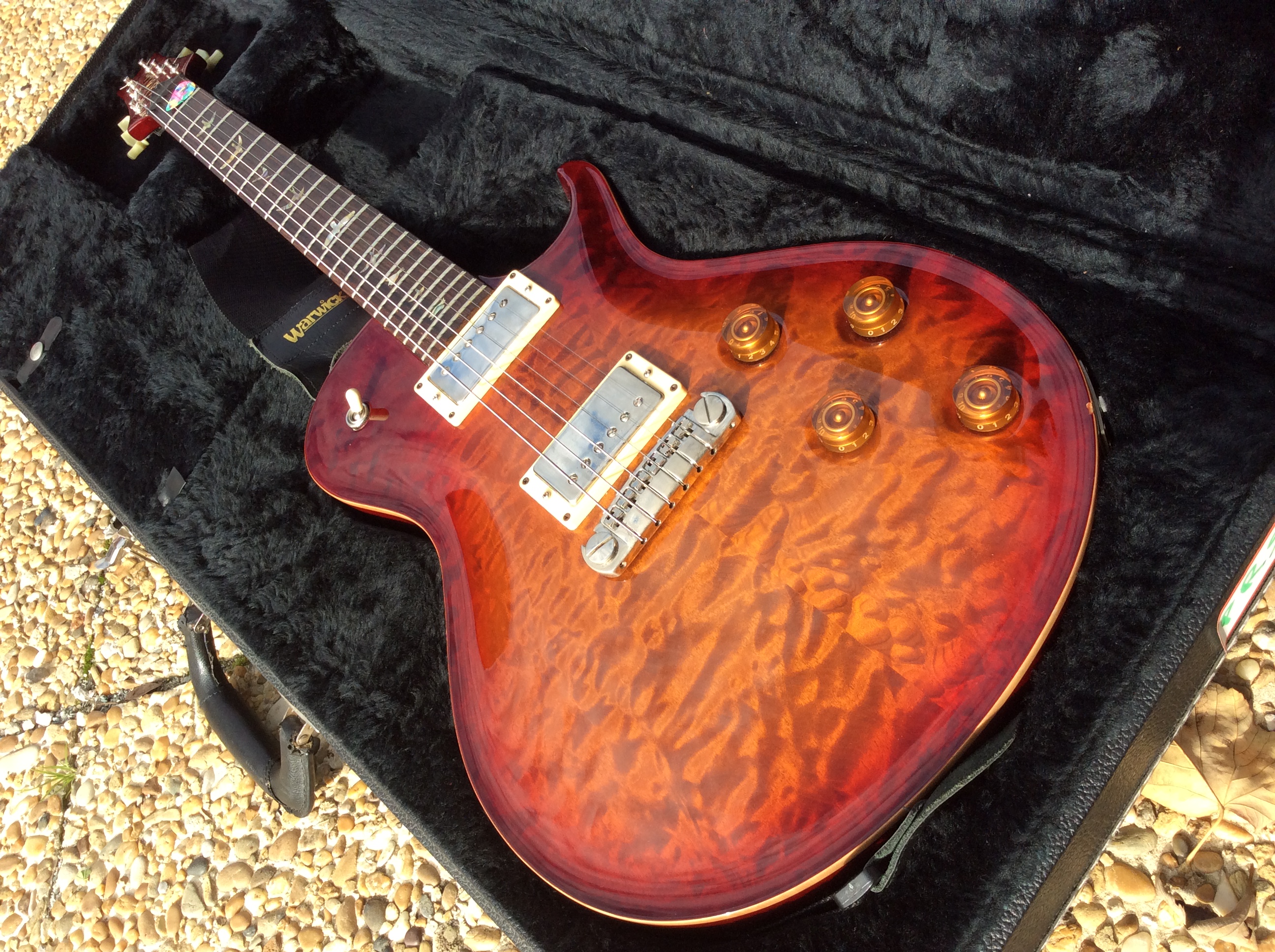 Photo PRS Singlecut : IMG 4859.JPG (#1729553) - Audiofanzine
