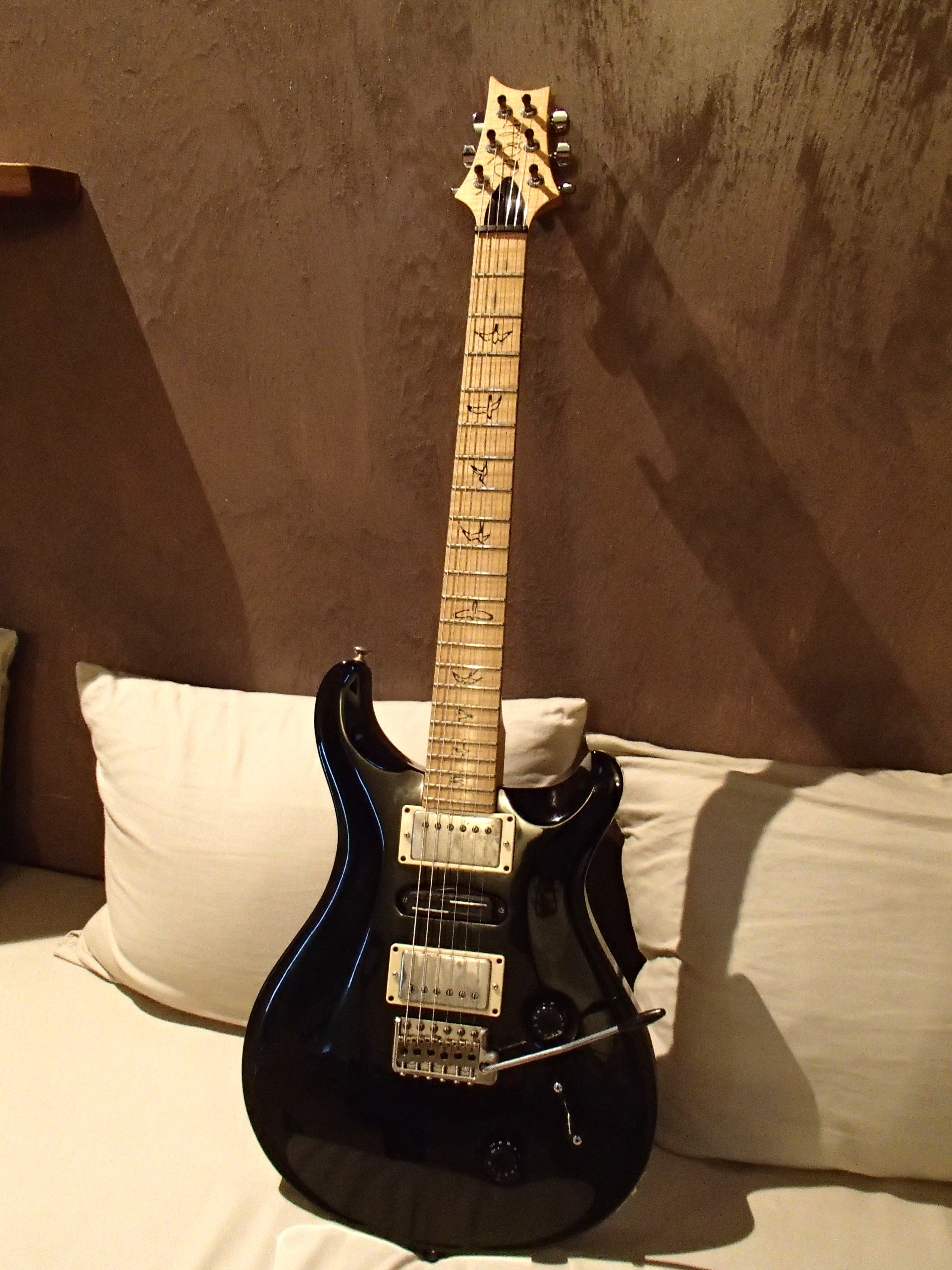 Photo PRS Swamp Ash Special : PRS Swamp Ash Special (18556) (#1989772 ...