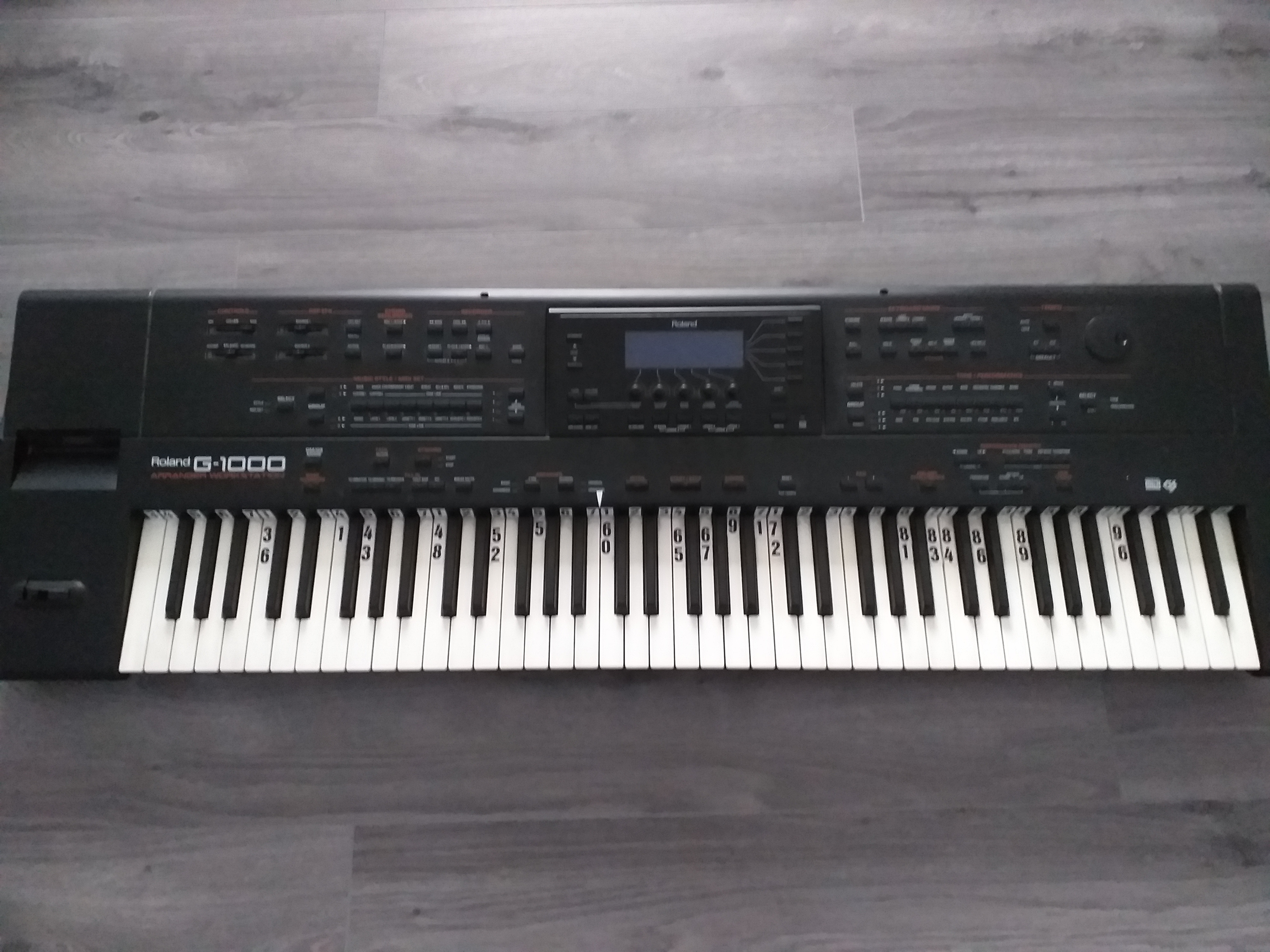 G-1000 - Roland G-1000 - Audiofanzine