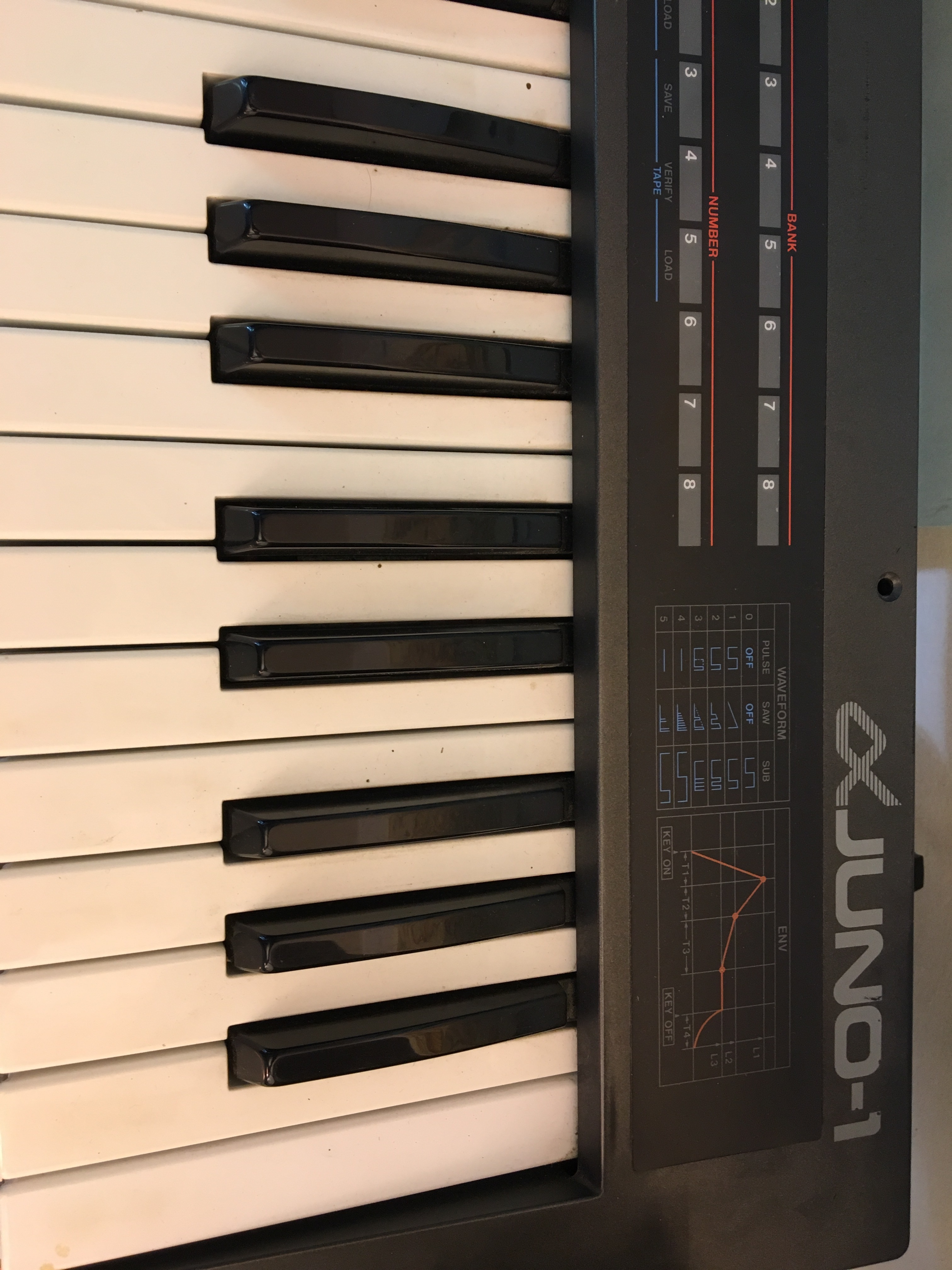 JUNO-1 - Roland JUNO-1 - Audiofanzine