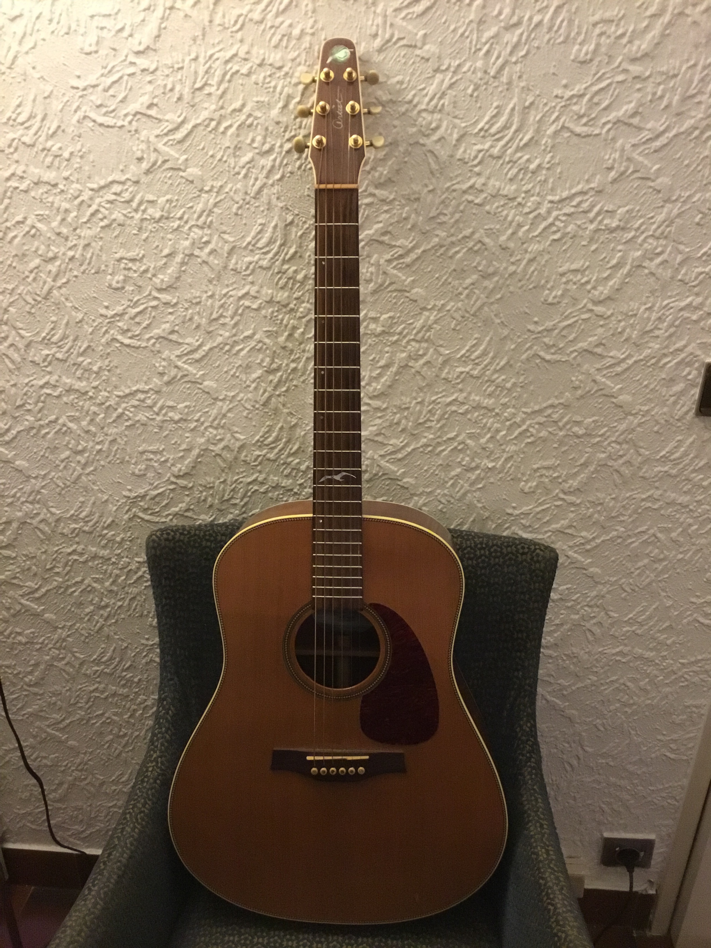 ARTIST MOSAIC - Seagull Artist Mosaic - Audiofanzine