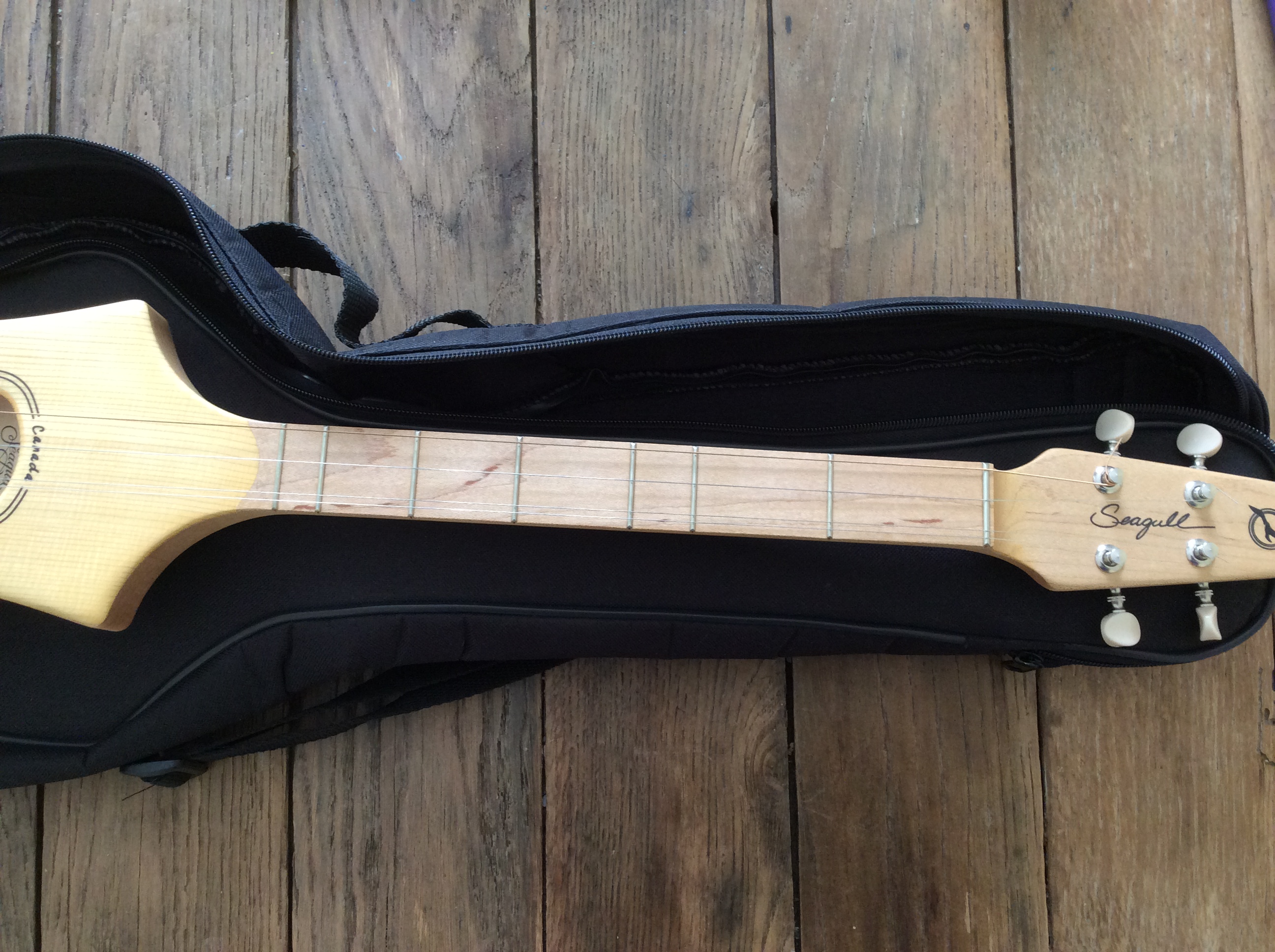 MERLIN SPRUCE SG - Seagull Merlin Spruce SG - Audiofanzine