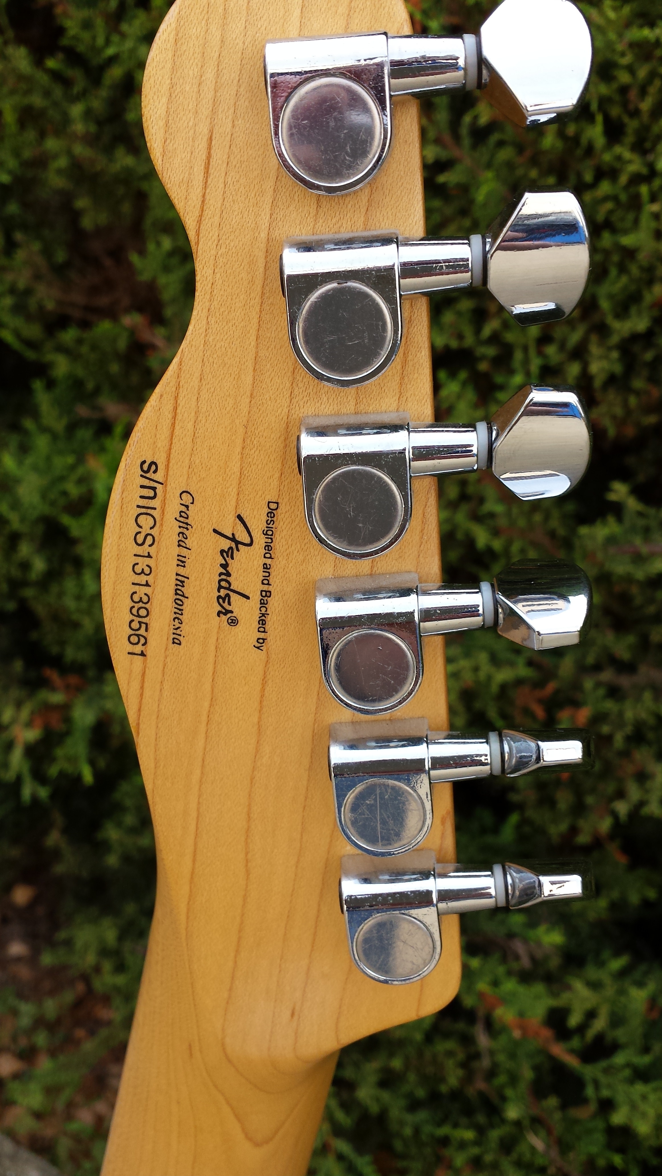 Vintage Modified Squier '51 2013 Squier - Audiofanzine