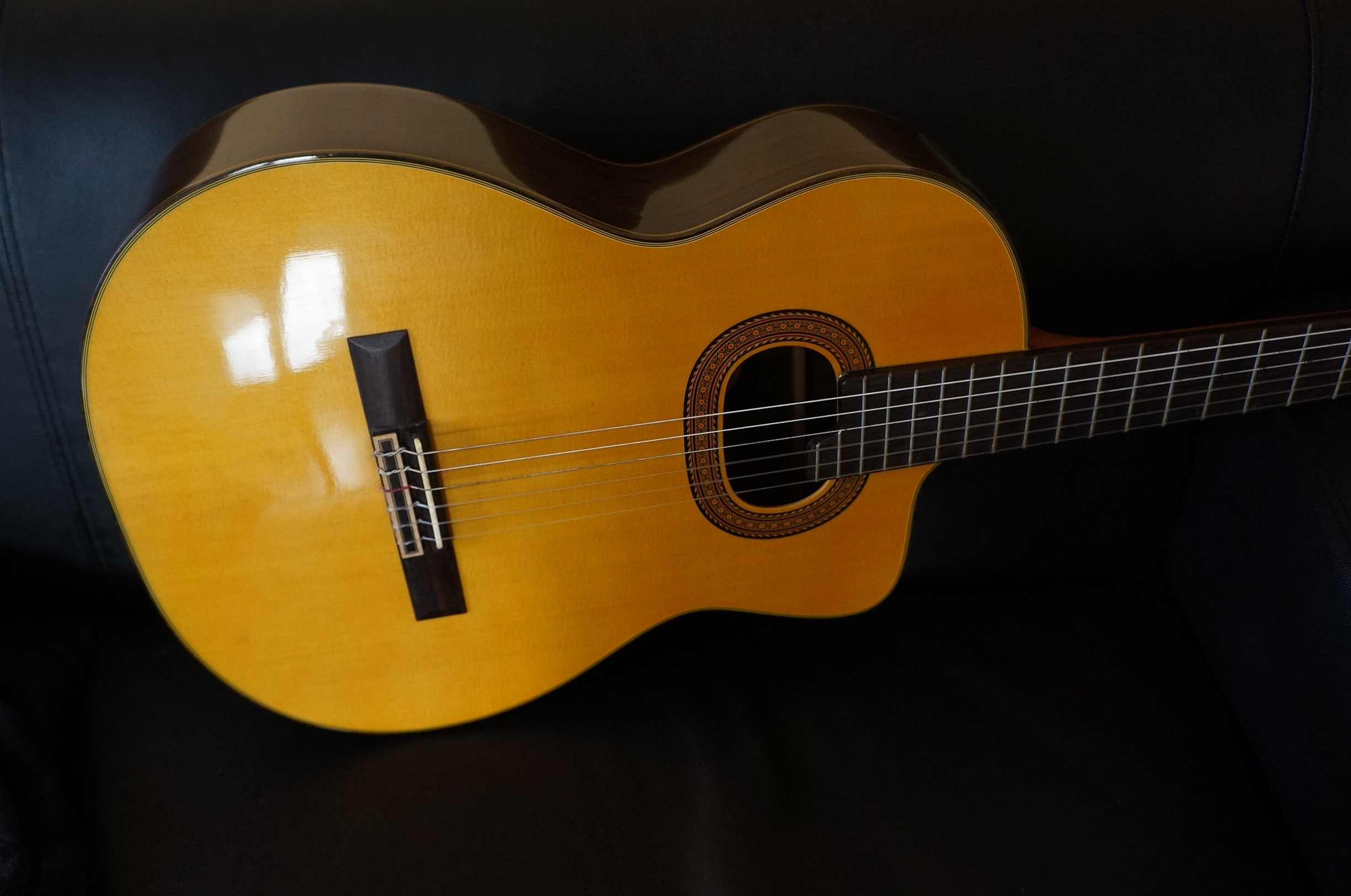 E30 - Takamine E30 - Audiofanzine