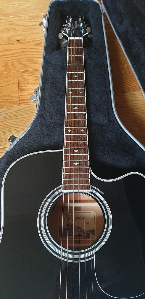 EF341SC - Takamine EF341SC - Audiofanzine