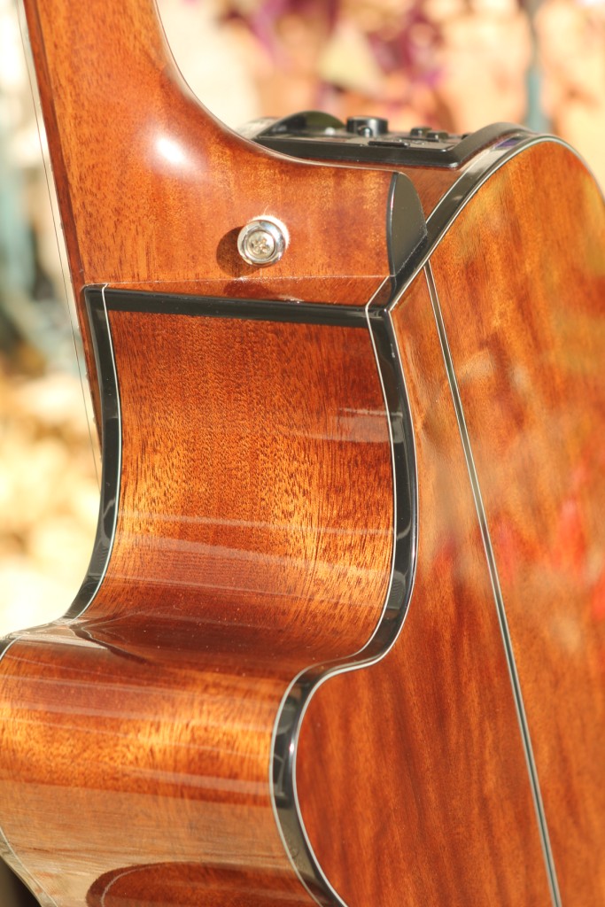 GF30CE - Takamine GF30CE - Audiofanzine