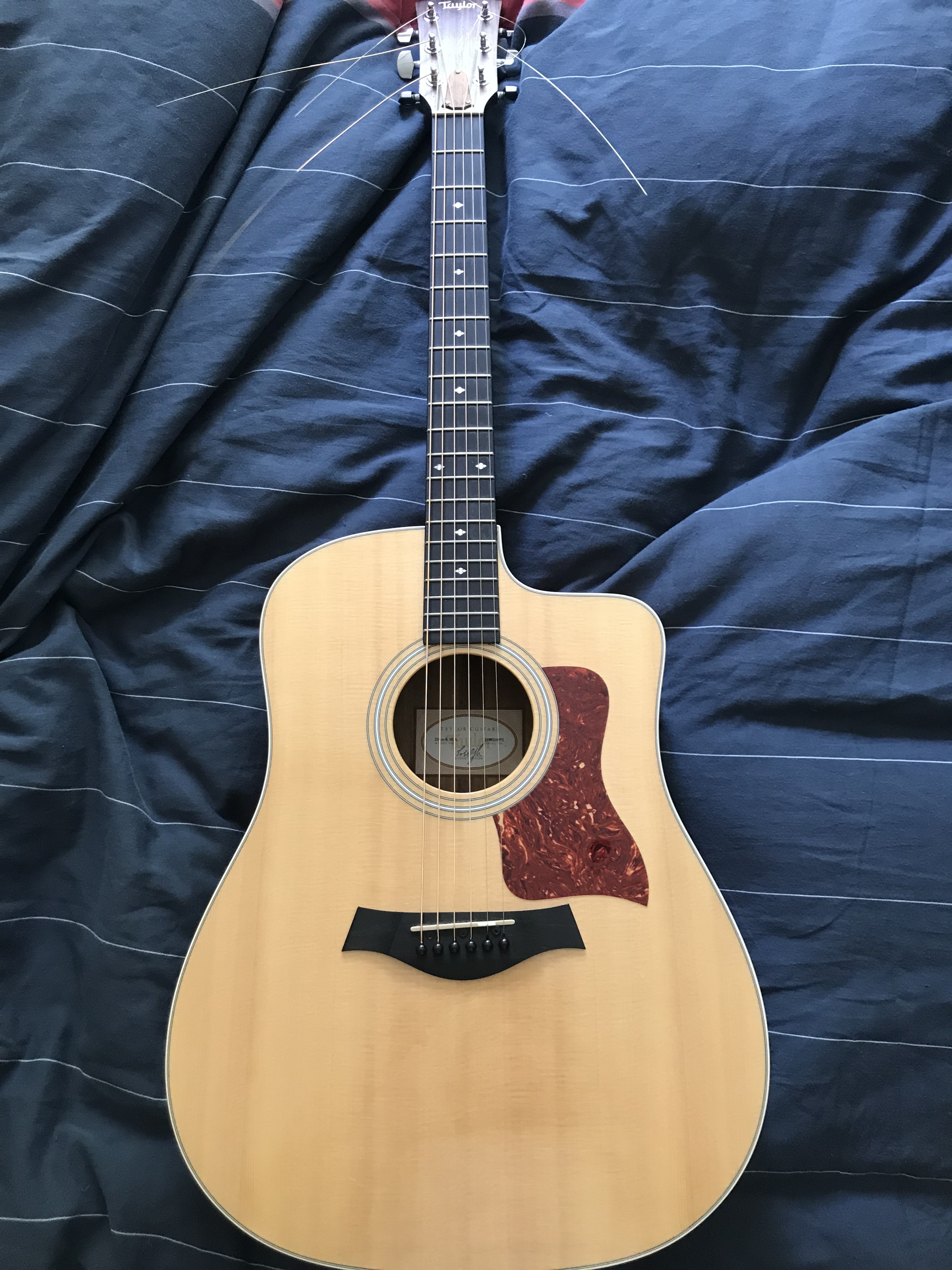 Guitare acoustique Taylor 210ce | Test, Avis & Comparatif