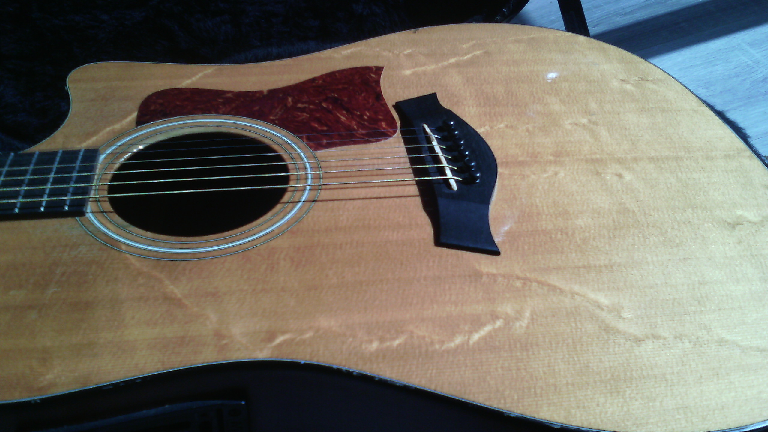 310 - Taylor 310 - Audiofanzine