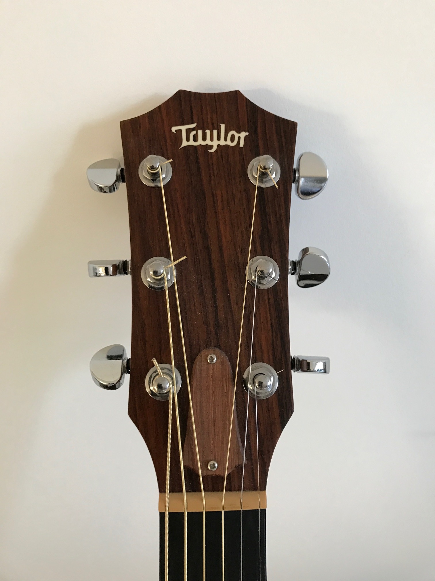 310CE - Taylor 310ce - Audiofanzine