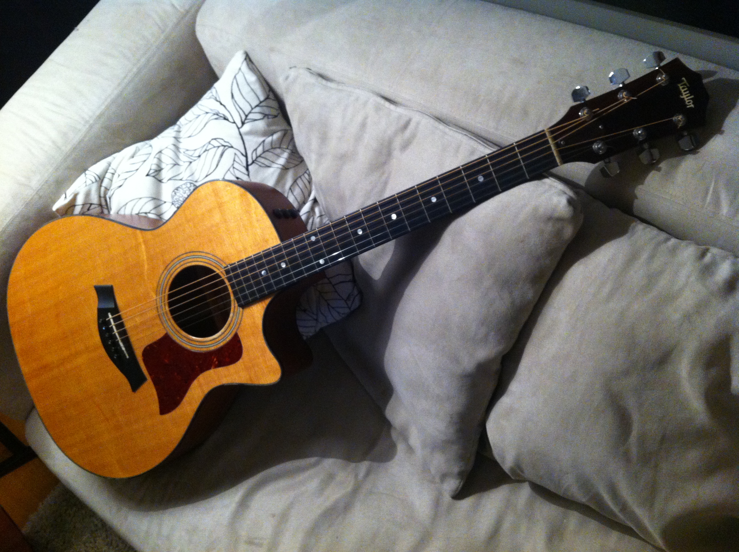 314CE - Taylor 314ce - Audiofanzine