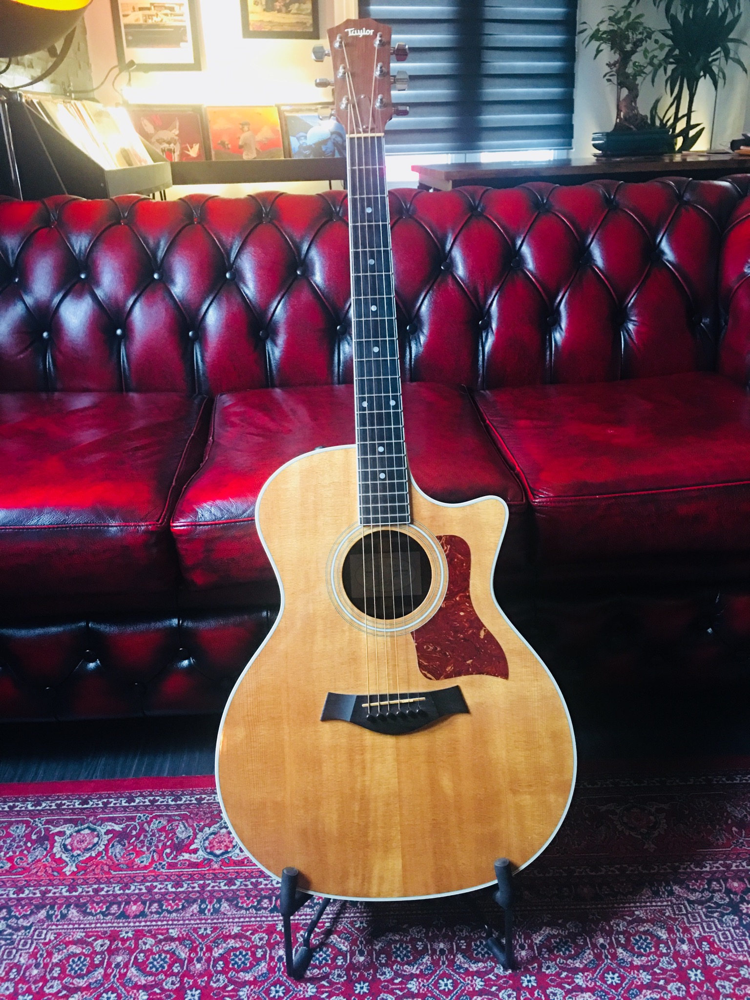 414CE - Taylor 414ce - Audiofanzine