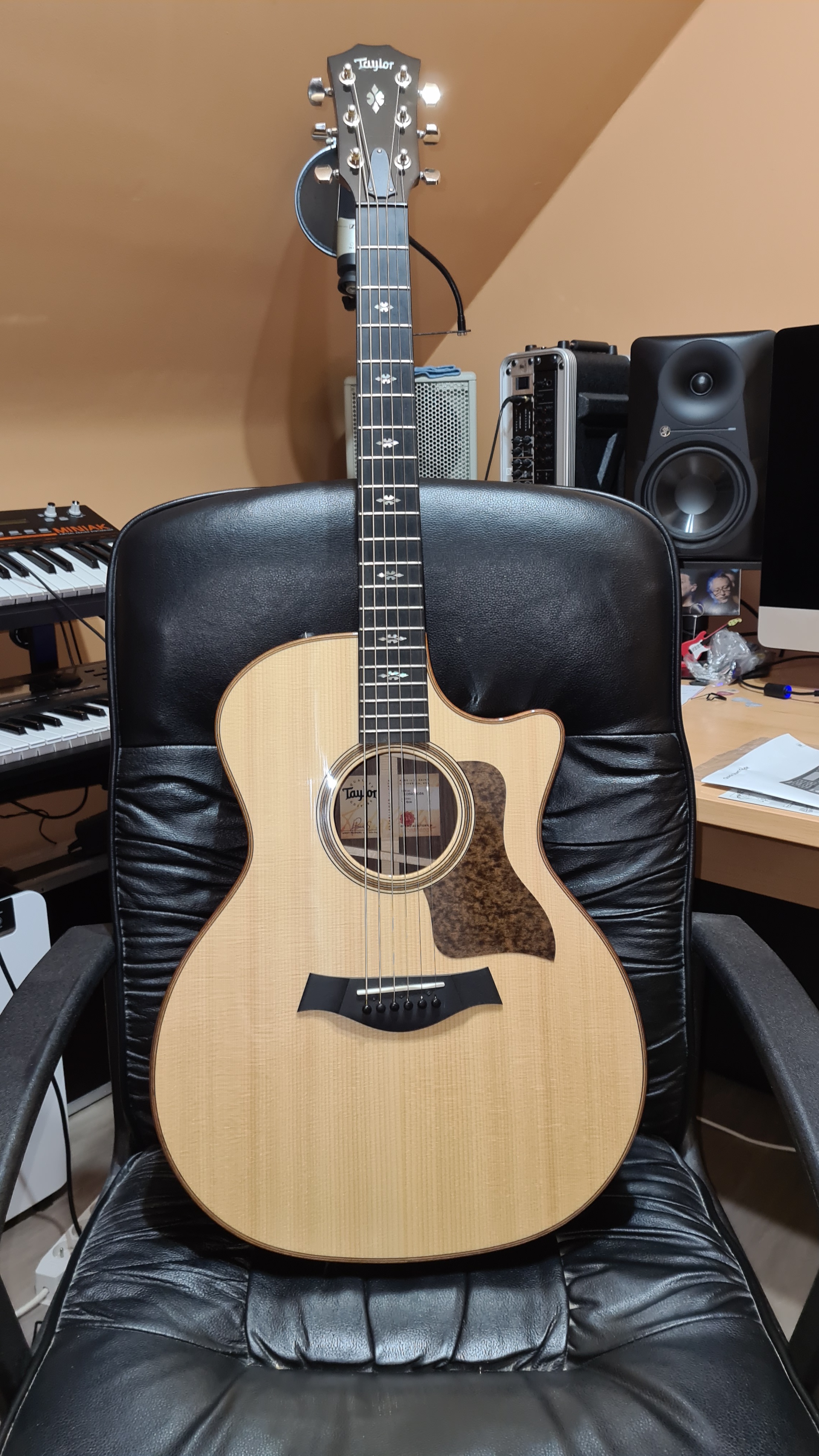 714ce [2018-Current] - Taylor 714ce [2018-Current] - Audiofanzine