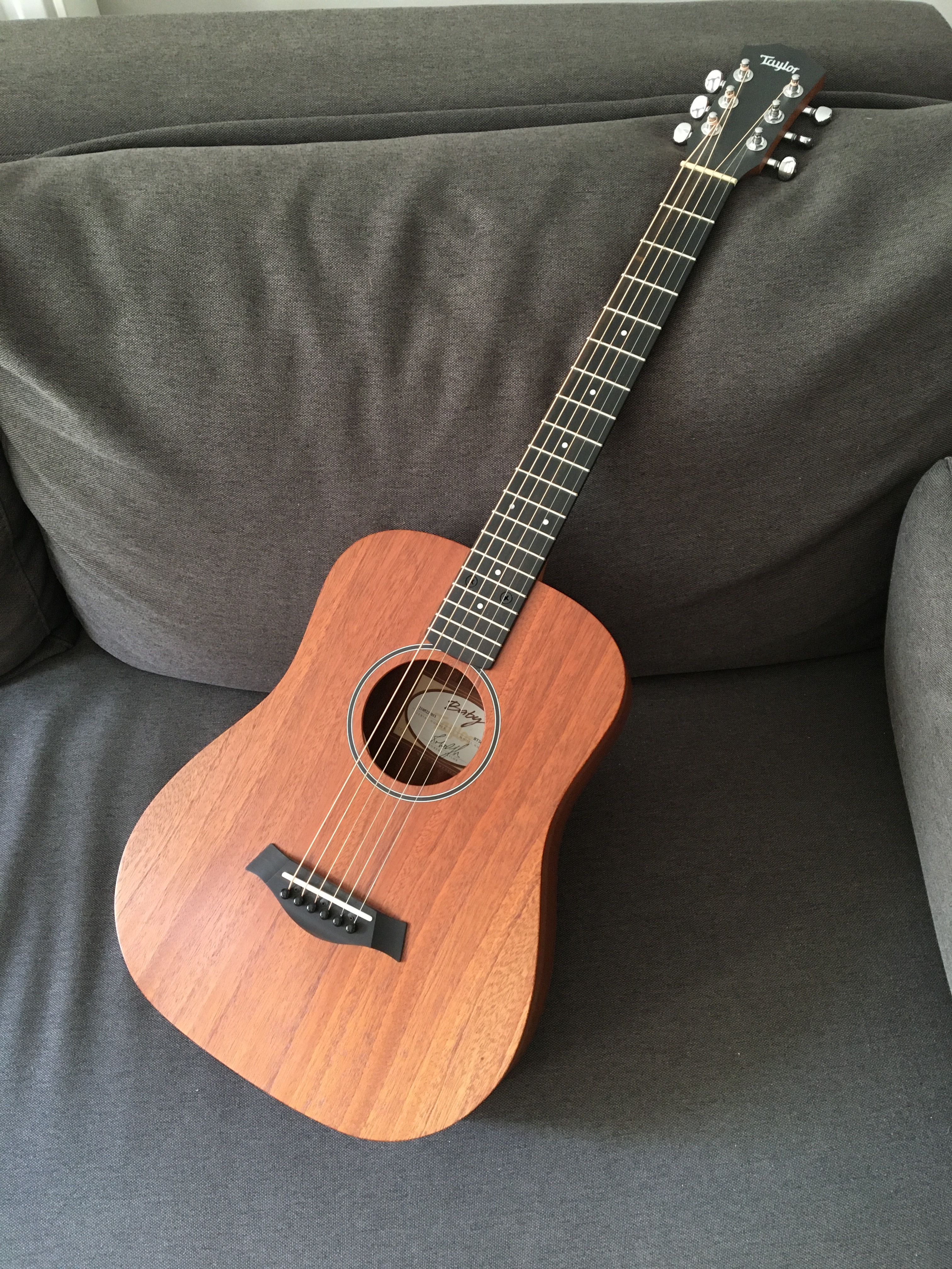 Baby Mahogany-e - Taylor Baby Mahogany-e - Audiofanzine
