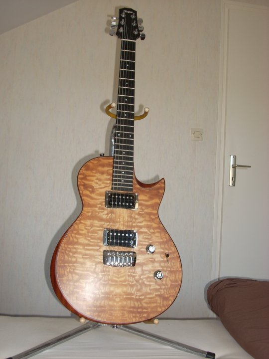 SOLID BODY STANDARD - Taylor Solid Body Standard - Audiofanzine