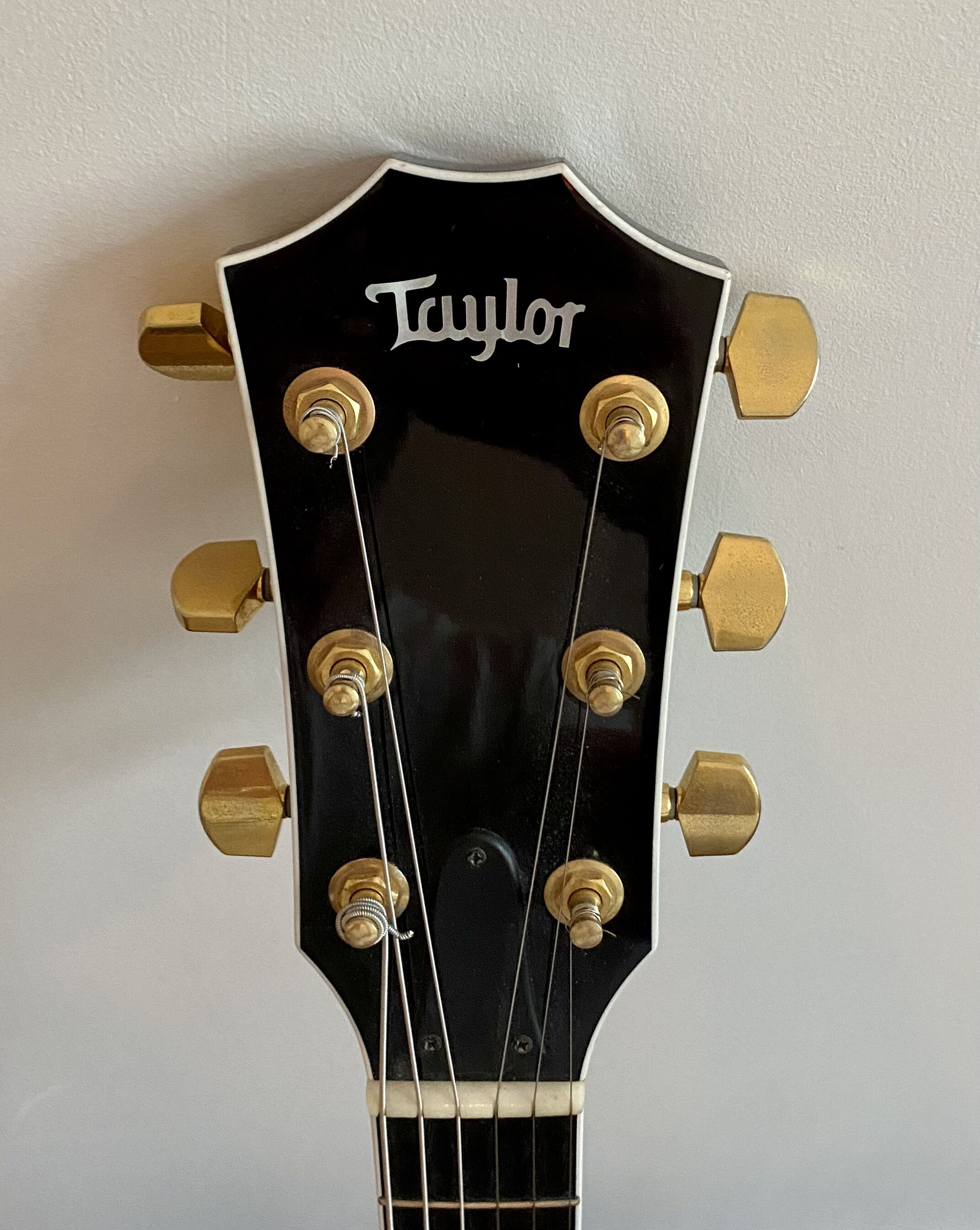 T5-C2 - Taylor T5-C2 - Audiofanzine