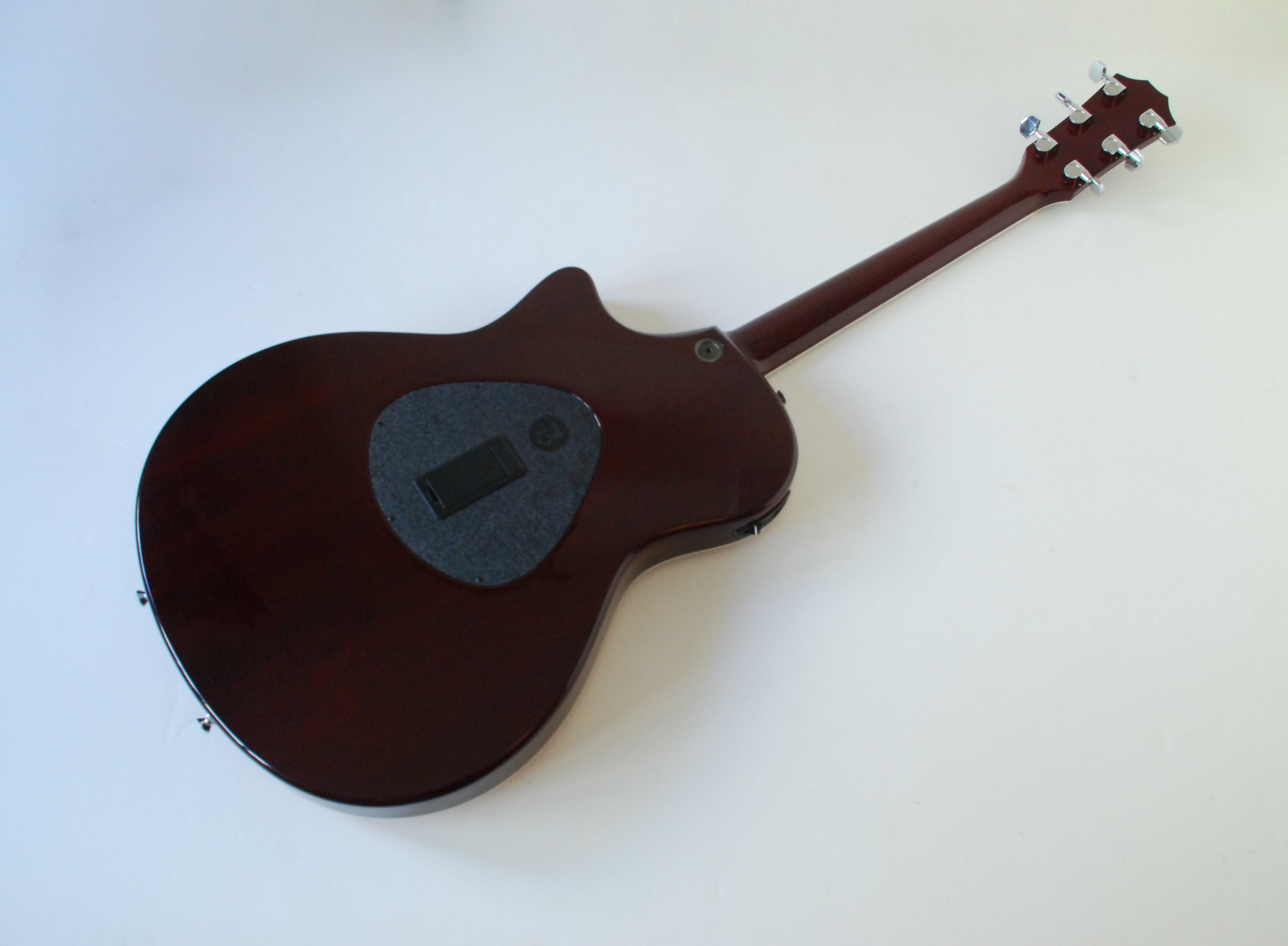 T5-S - Taylor T5-S - Audiofanzine