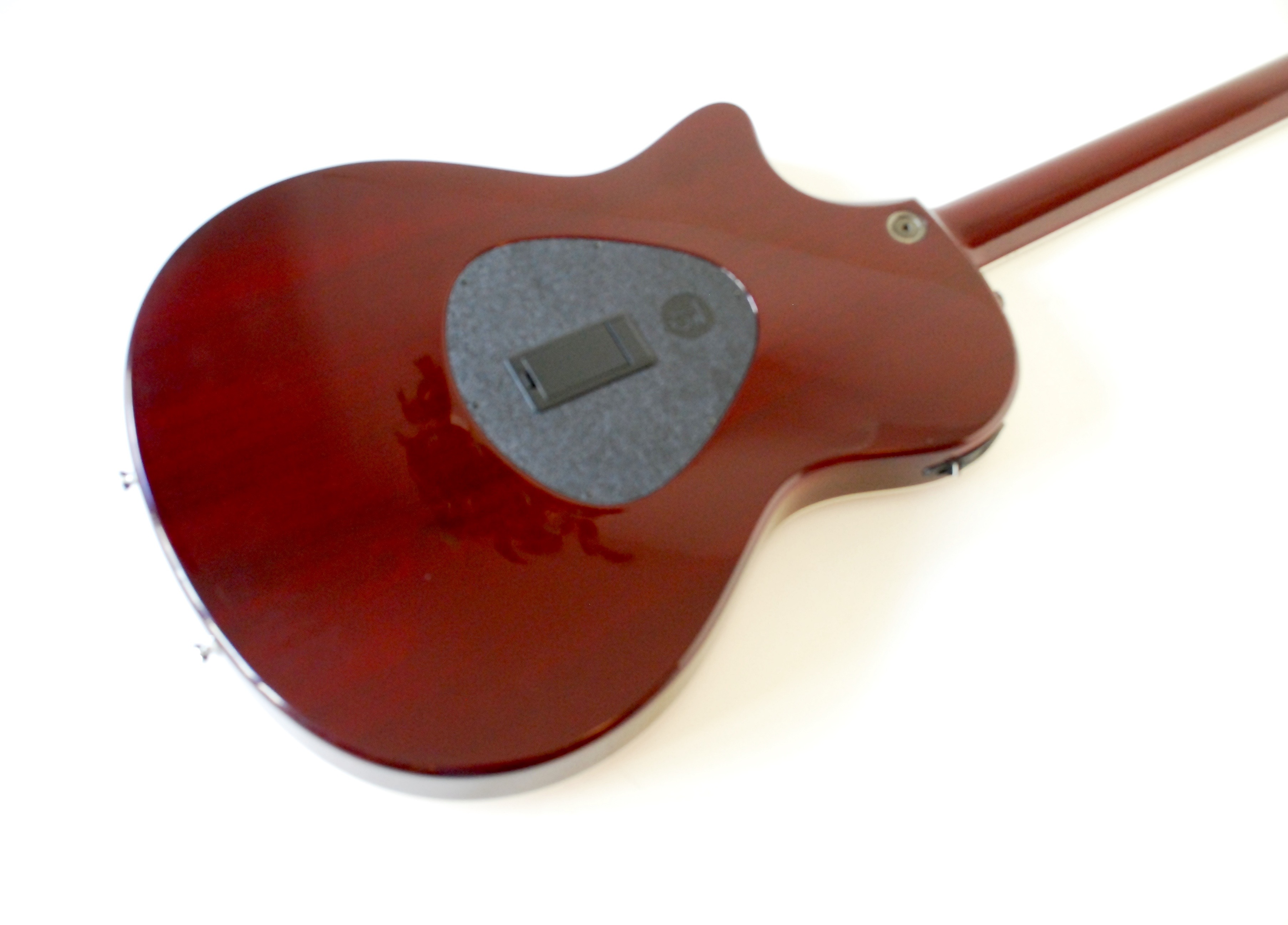 T5-S - Taylor T5-S - Audiofanzine