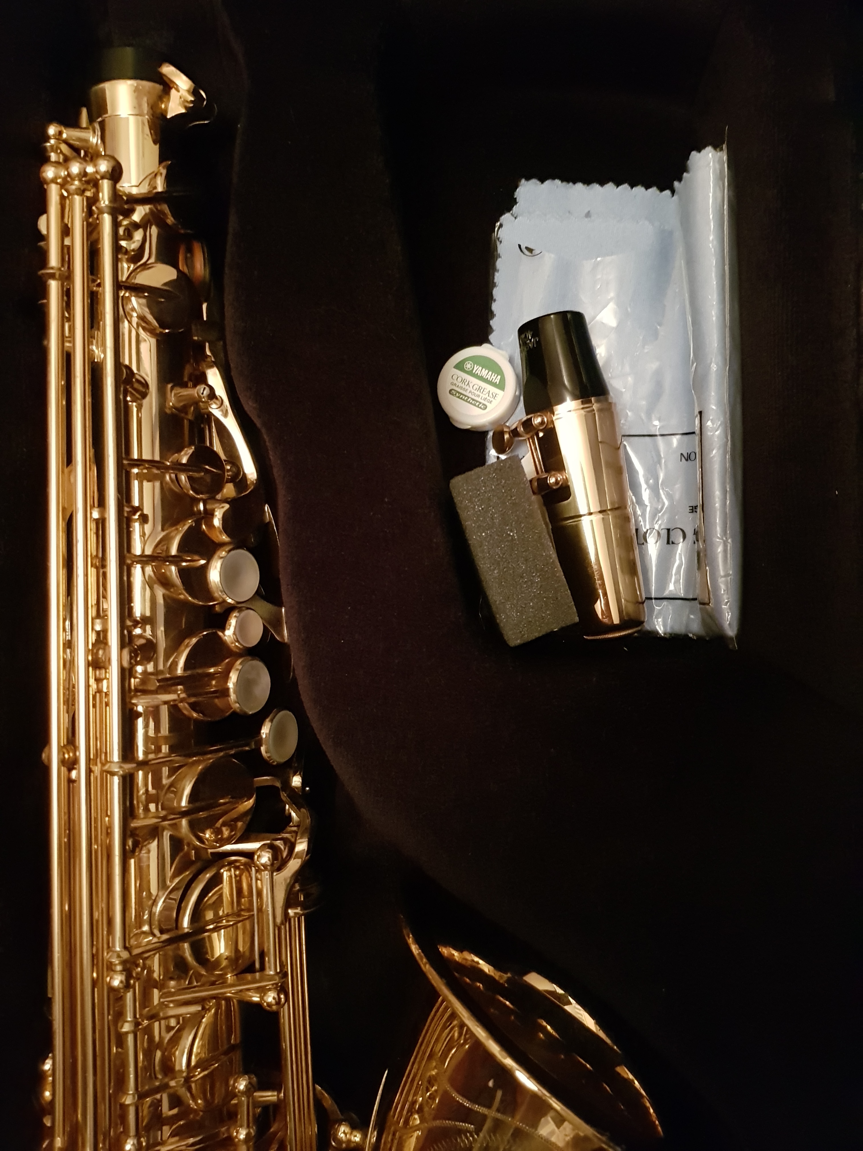 saxophone alto - Thomann saxophone alto - Audiofanzine