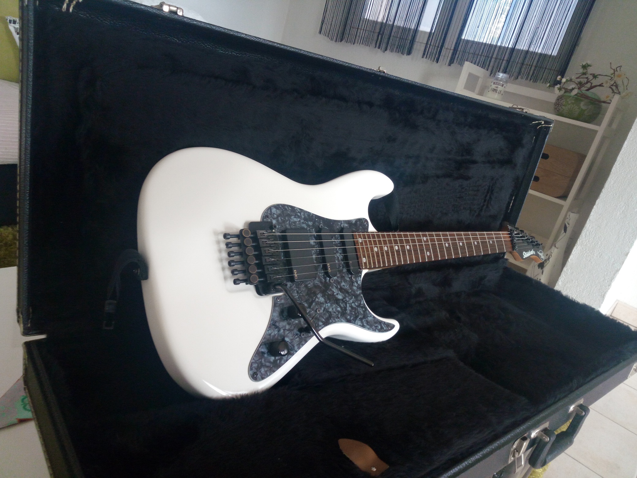 Custom Pro - Valley Arts Guitars Custom Pro - Audiofanzine