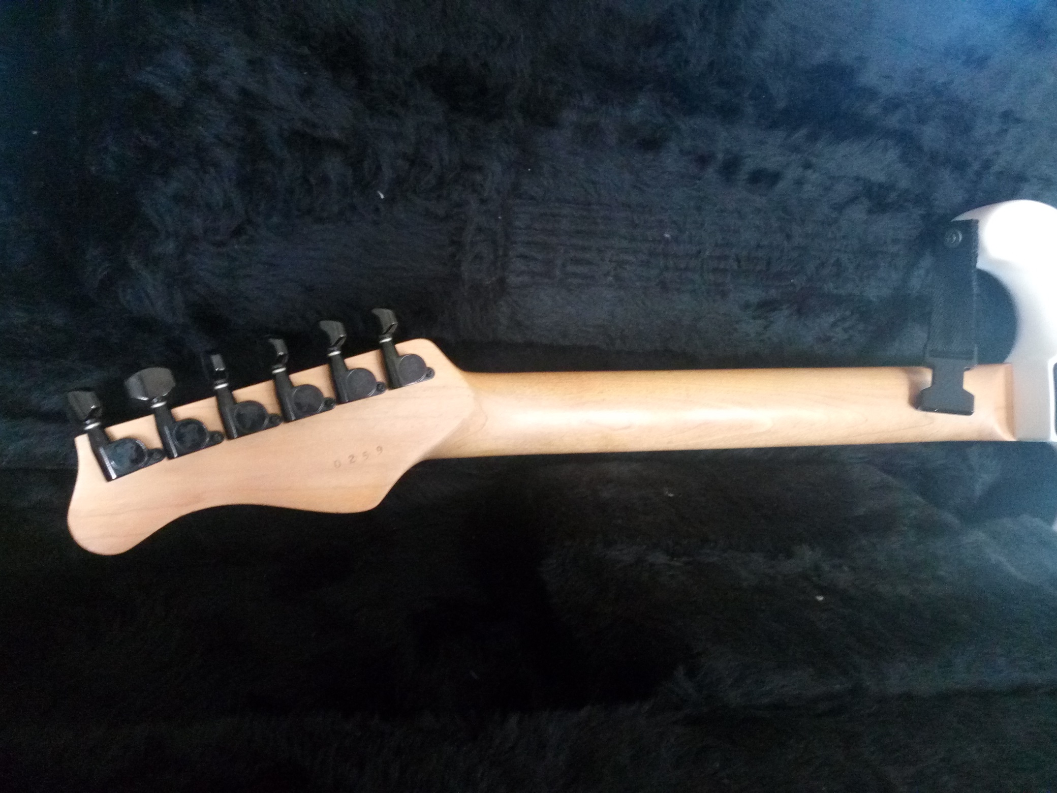 Custom Pro - Valley Arts Guitars Custom Pro - Audiofanzine