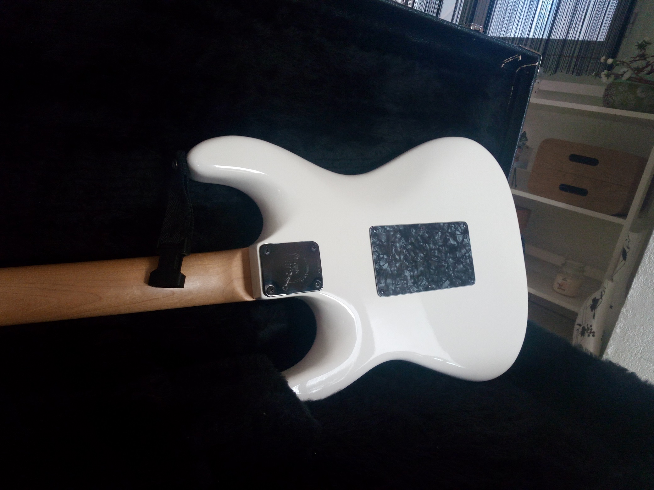 Custom Pro - Valley Arts Guitars Custom Pro - Audiofanzine