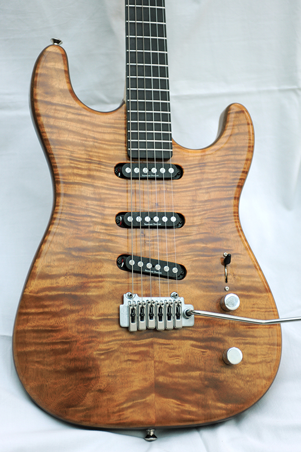 Photo Warmoth Stratocaster : Warmoth Stratocater (#533925) - Audiofanzine