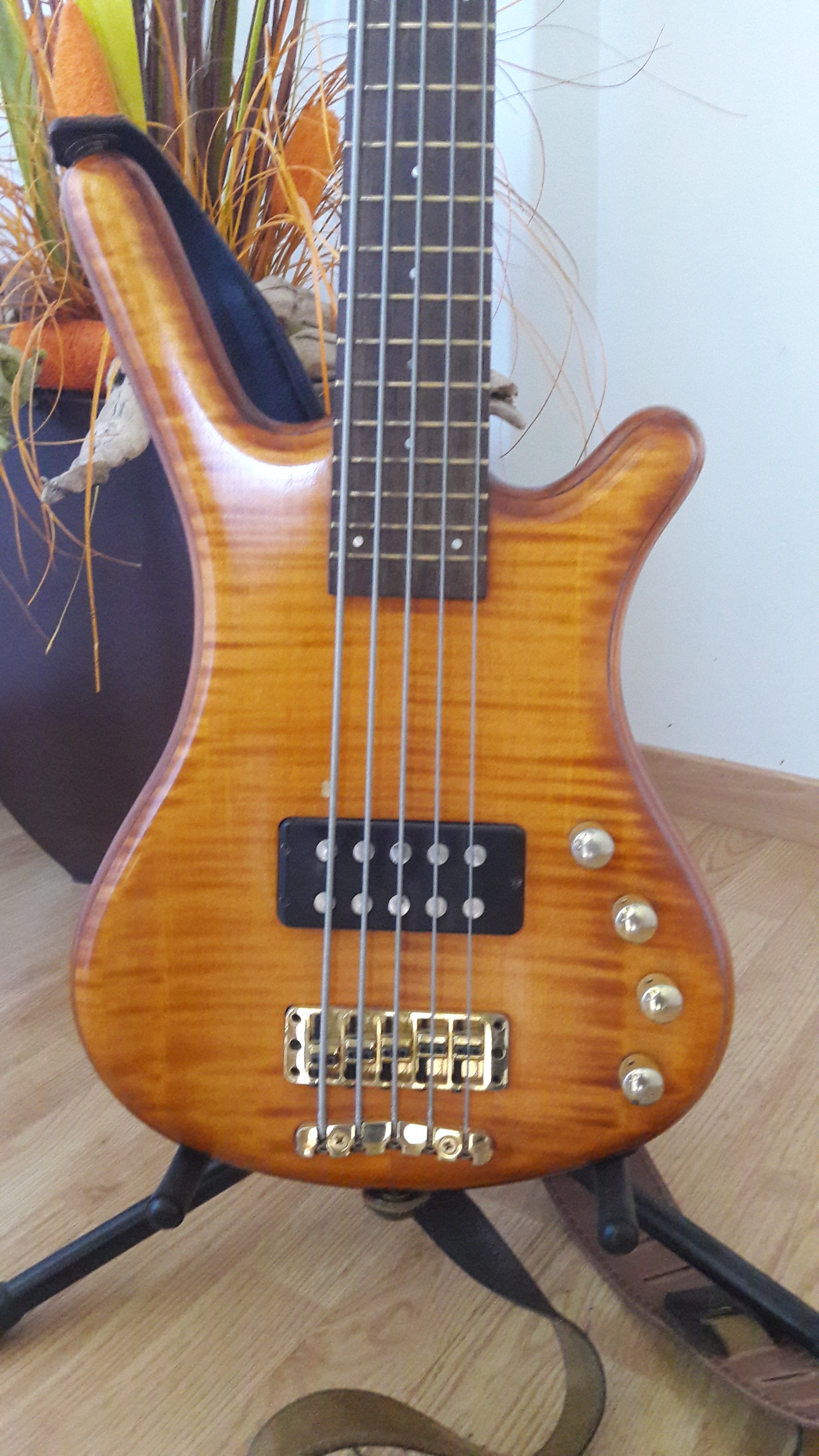 CORVETTE FNA JAZZMAN 5 - Warwick Corvette FNA Jazzman 5 - Audiofanzine