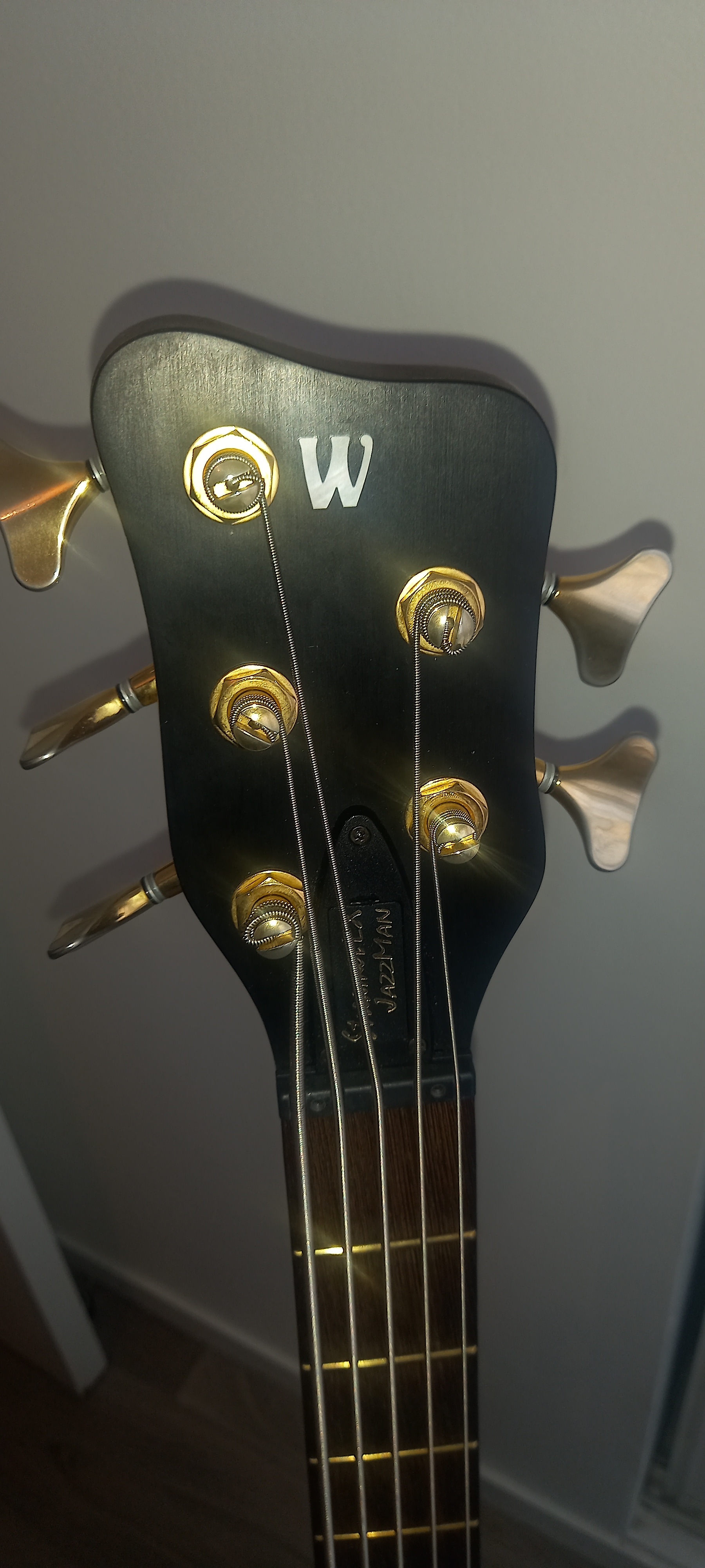 Streamer LX 5 - Warwick Streamer LX 5 - Audiofanzine