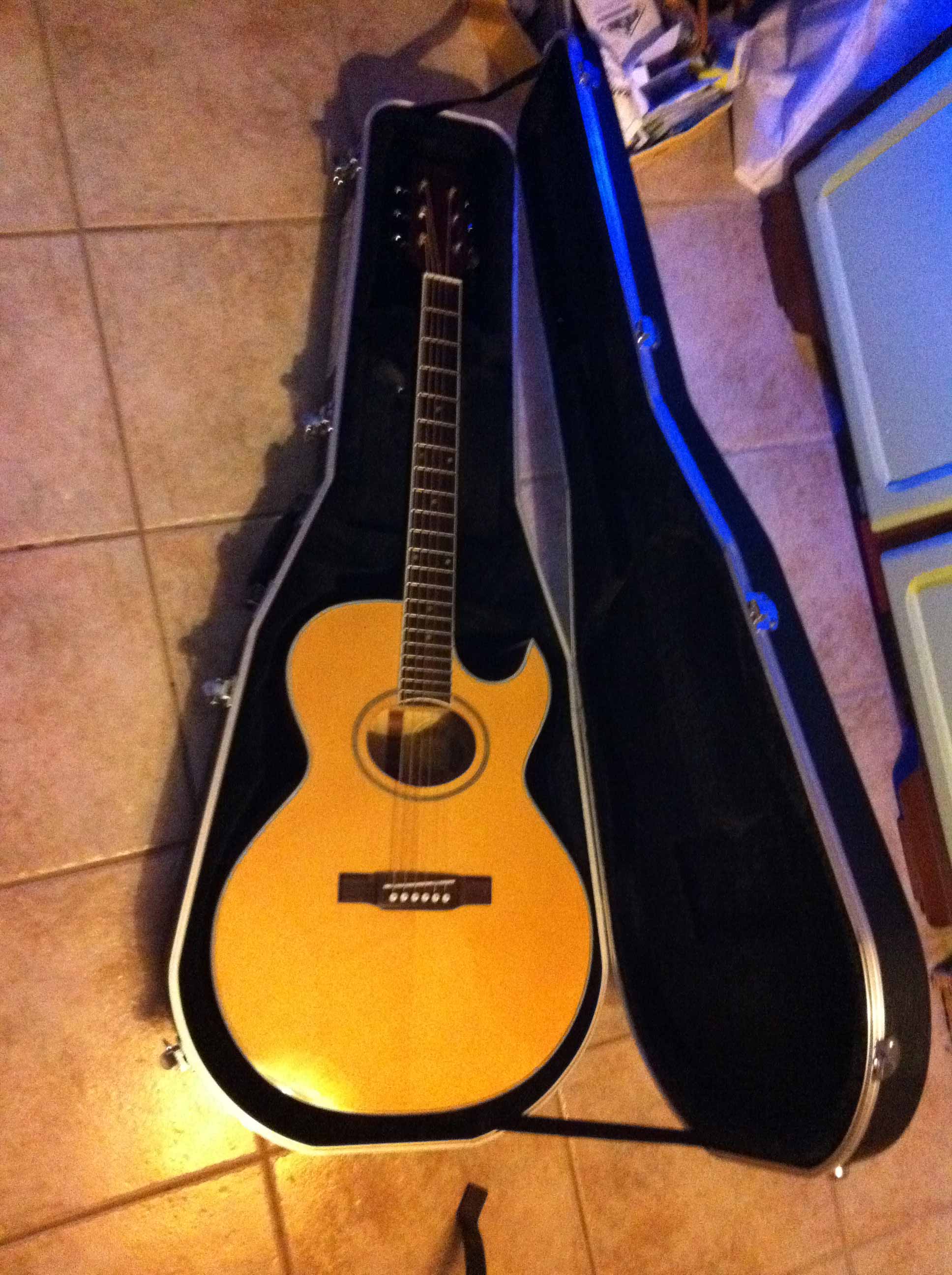 Photo Washburn Ea9 Washburn Festival Series Ea 9 259453 Audiofanzine