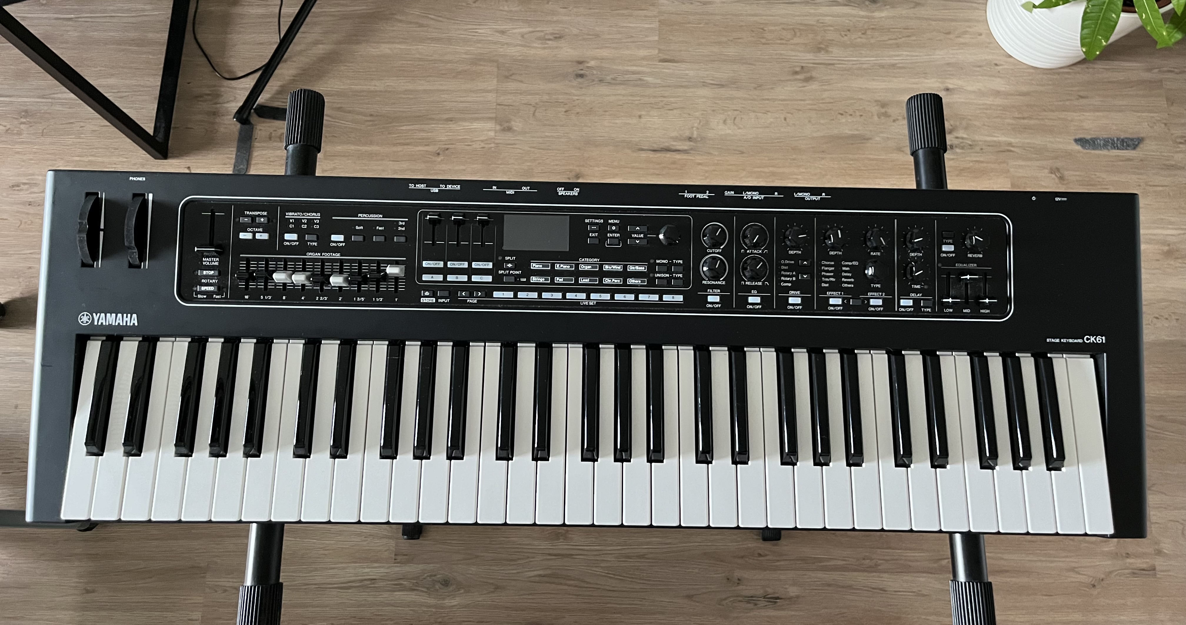 CK61 - Yamaha CK61 - Audiofanzine