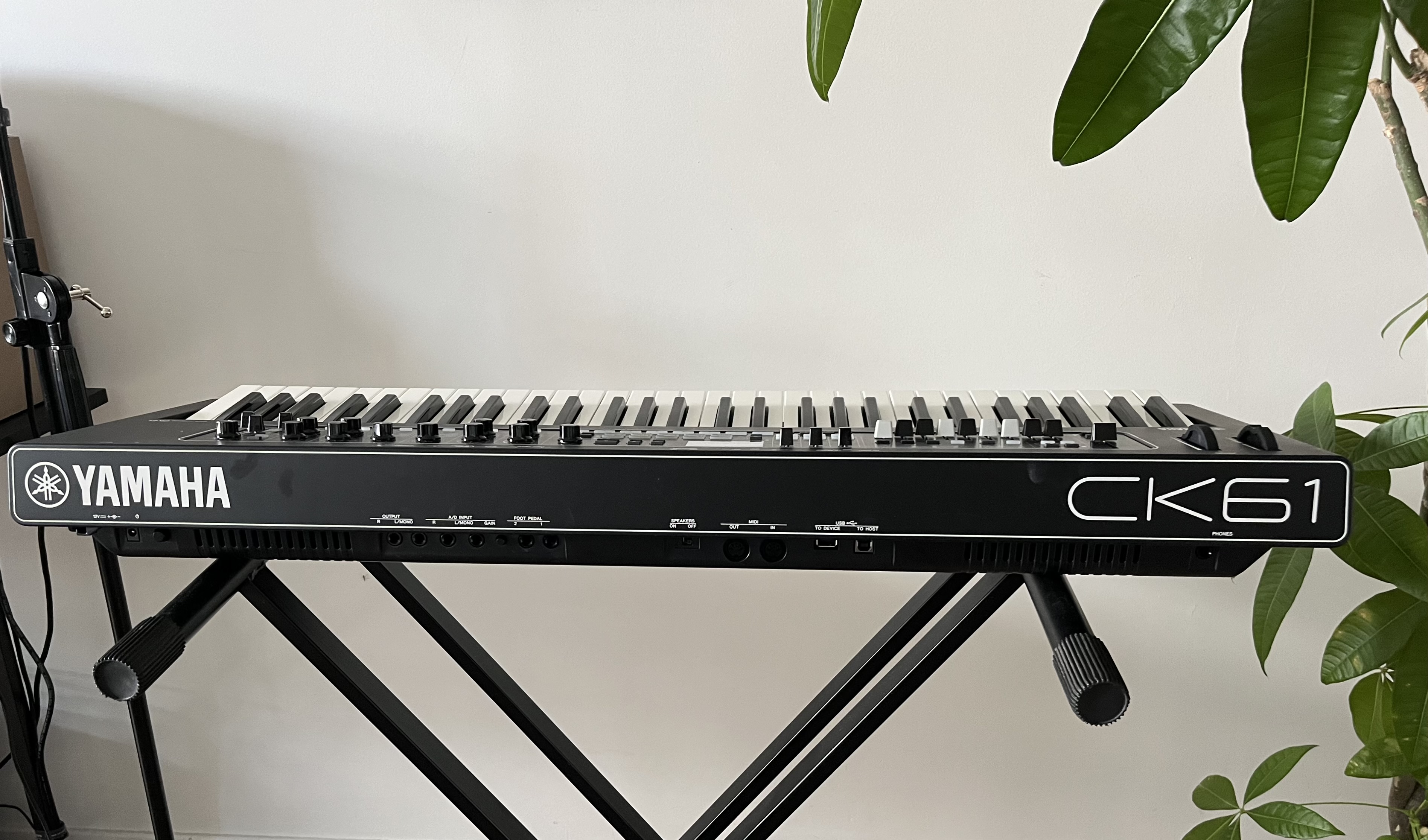 CK61 - Yamaha CK61 - Audiofanzine