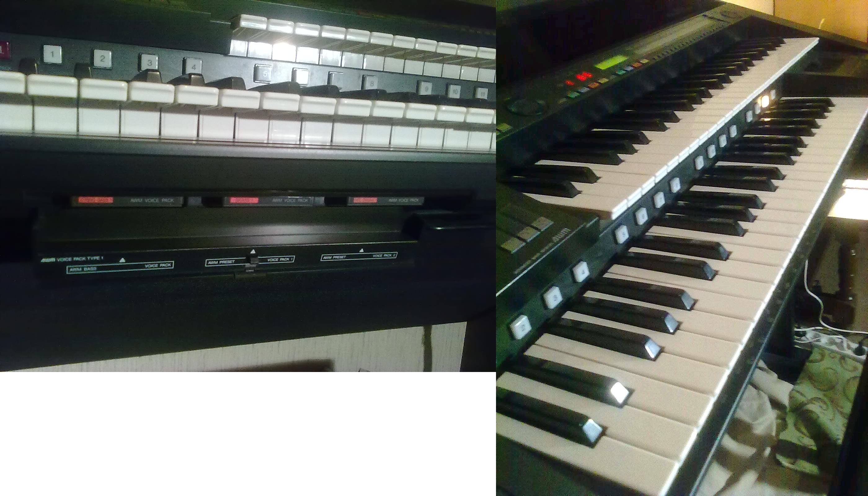 Photo Yamaha Electone HS8 : Yamaha Electone HS-8 (#495445) - Audiofanzine